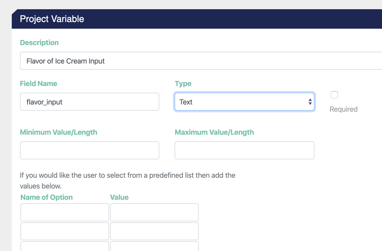 Using Project Variables